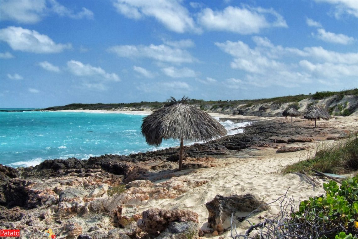 Mare di Cuba: le spiagge più belle e poco turistiche - Patatofriendly