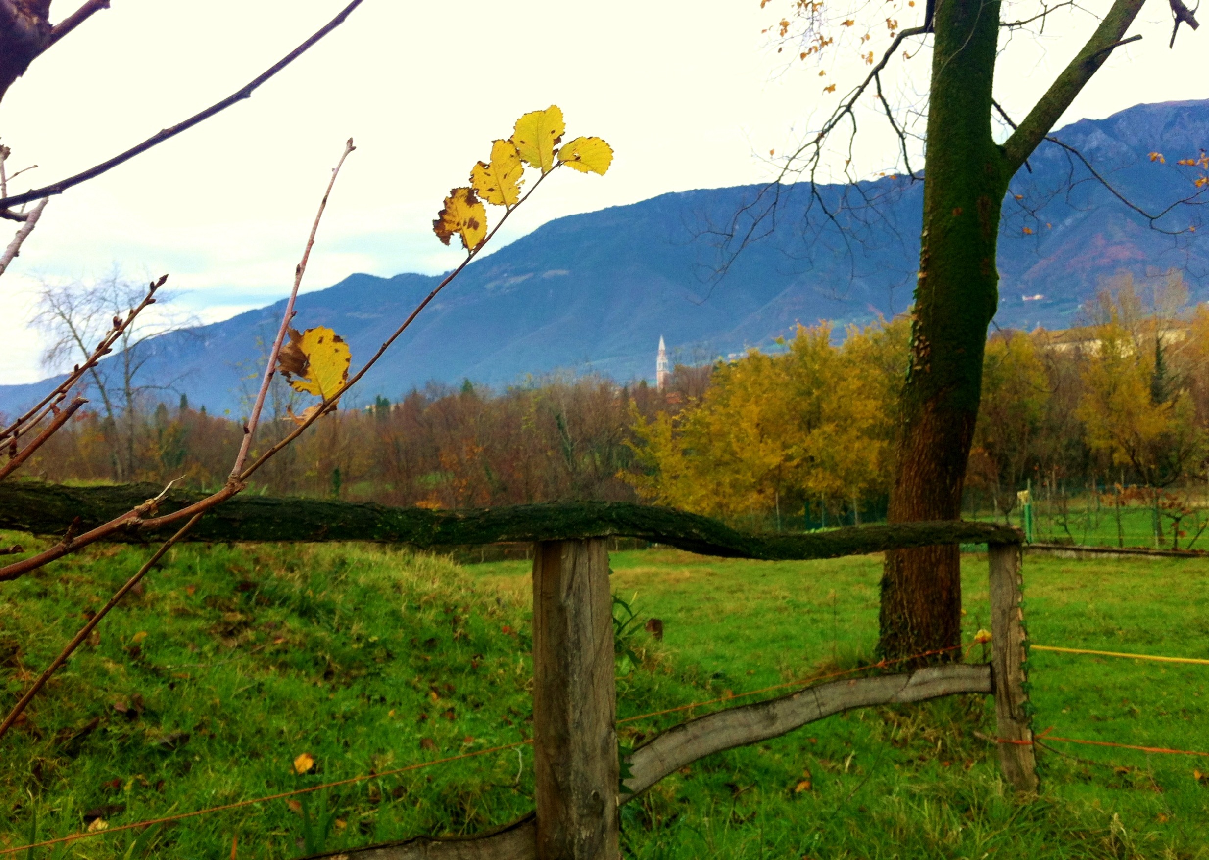 Montegrappa Park in Veneto - Patatofriendly