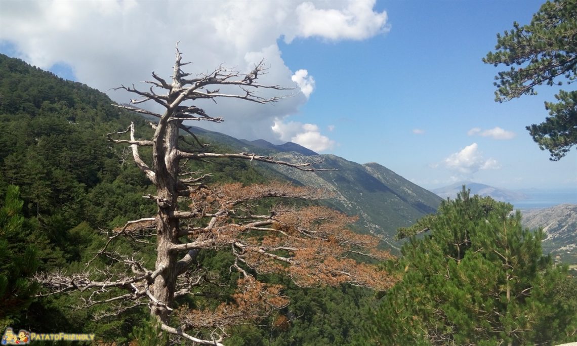 Llogara Pass: must-see things in southern Albania - Patatofriendly
