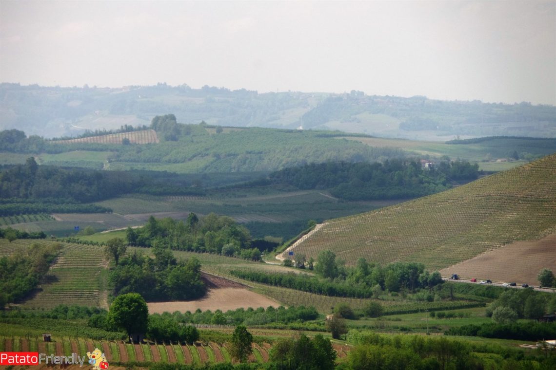A holiday in the Langhe: things to do and see - Patatofriendly