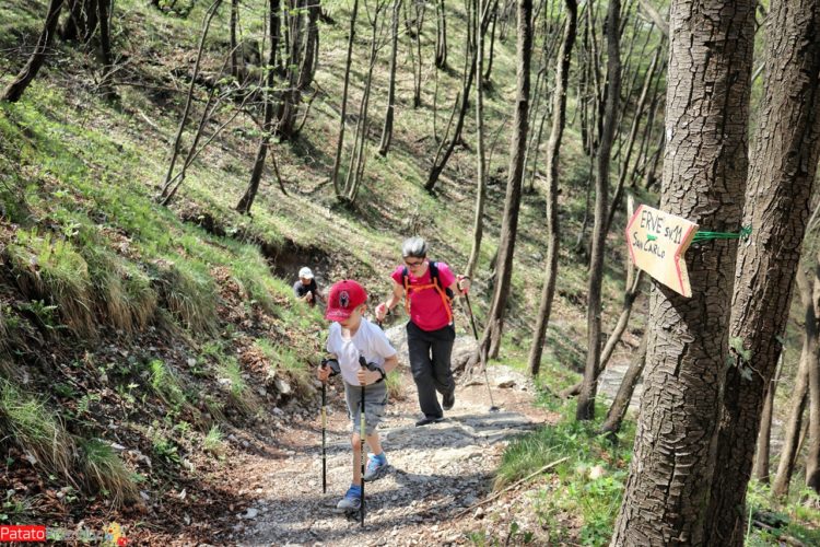 Trekking in Lombardia coi bambini: Capanna Monza da Erve