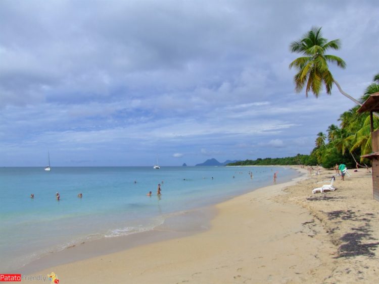 Cosa vedere in Martinica: guida per una vacanza ai Caraibi - Patatofriendly