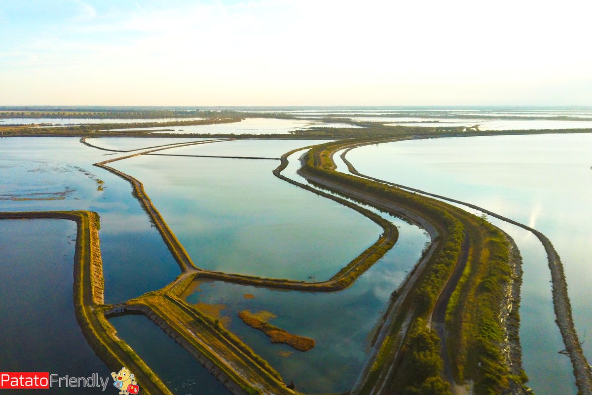 Delta del Po: cosa vedere e fare nel Parco - Patatofriendly