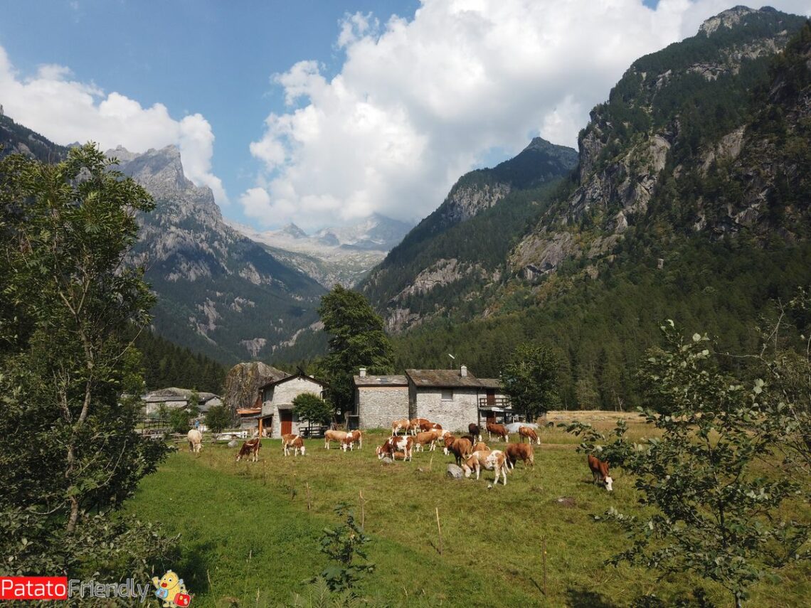 Val di Mello, walks and trekking - Patatofriendly